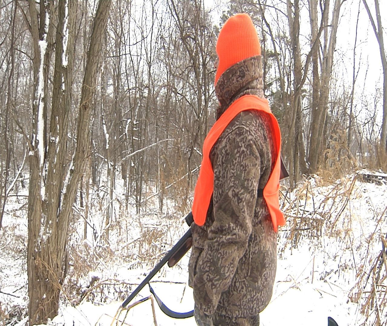 Pennsylvania Opens New Sunday Hunting Days for 2025 Season - WENY News