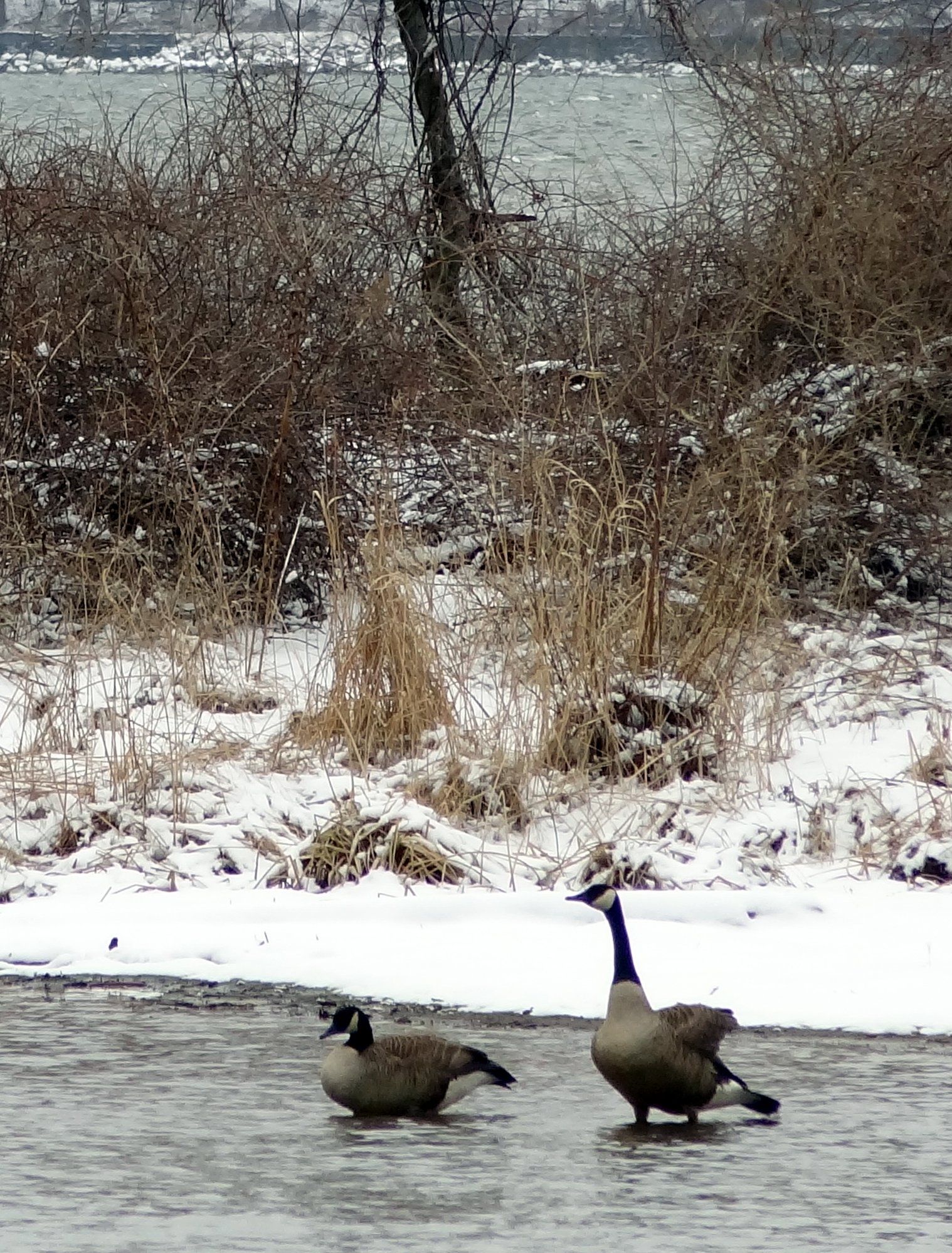 PI Bay in Focus at Meeting Today - Erie News Now | WICU and WSEE in ...