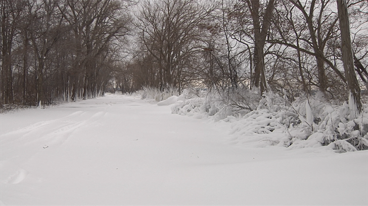 Presque Isle Partnership to Host Winter Discovery Day - Erie News Now ...