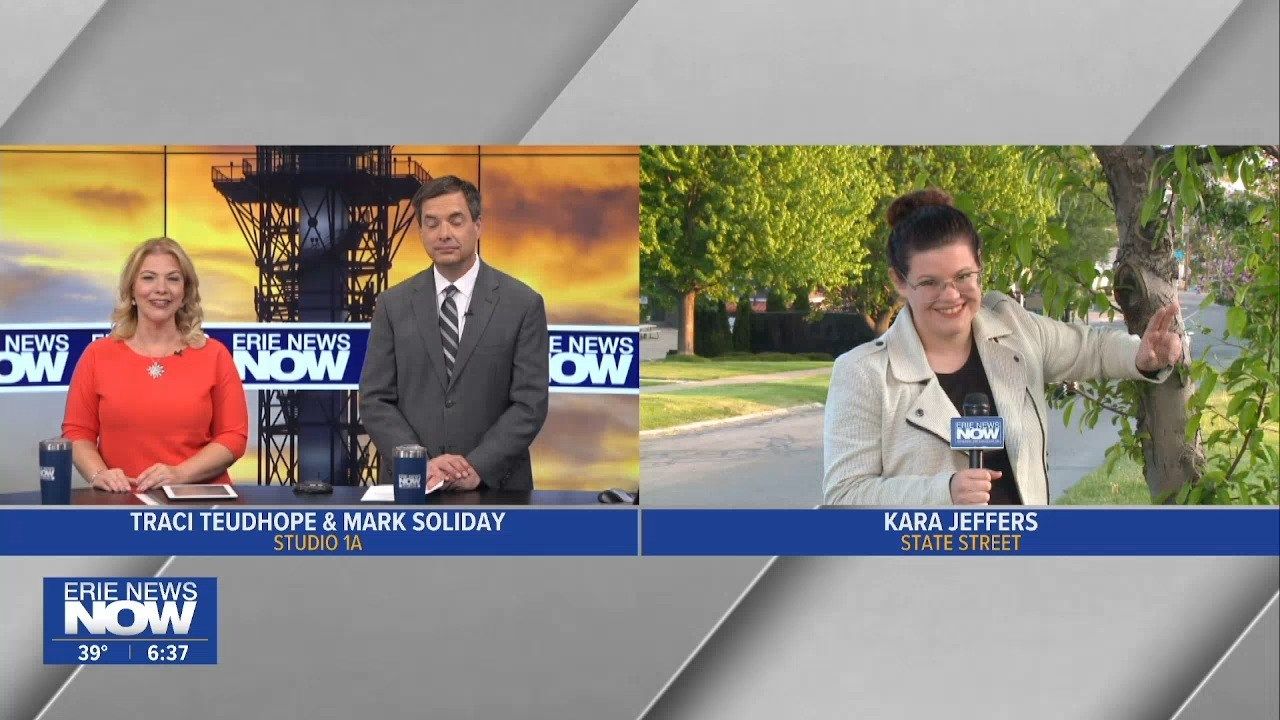 Revitalizing West Bayfront with Street Trees - Erie News Now | WICU and ...