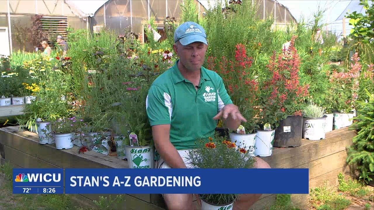 Stan's Gardening A-Z: Perennial Plants - Erie News Now | WICU and WSEE ...