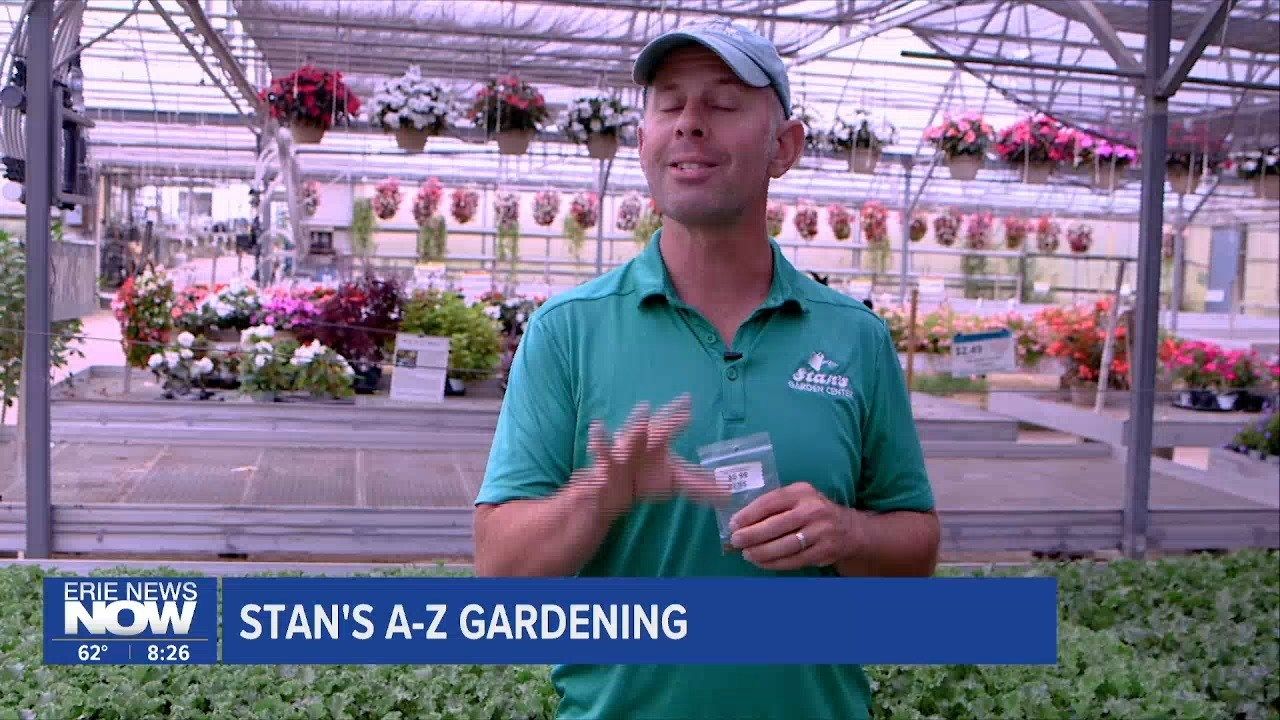 Stan's Gardening A-Z: Planting Vegetable in the Cold - Erie News Now ...