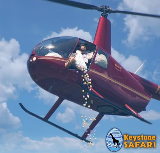 Easter Bunny to Drop 3,000 Easter Eggs Out of Helicopter at Keystone ...