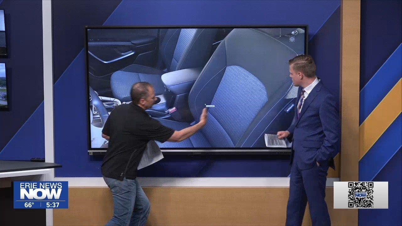 It's Electric: Helping that Springtime Back - Erie News Now | WICU and ...