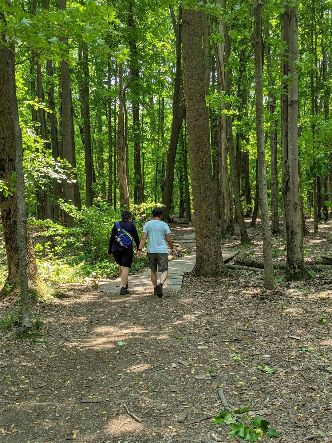 Asbury Woods Invites Community on Hike to Celebrate National Trails Day ...