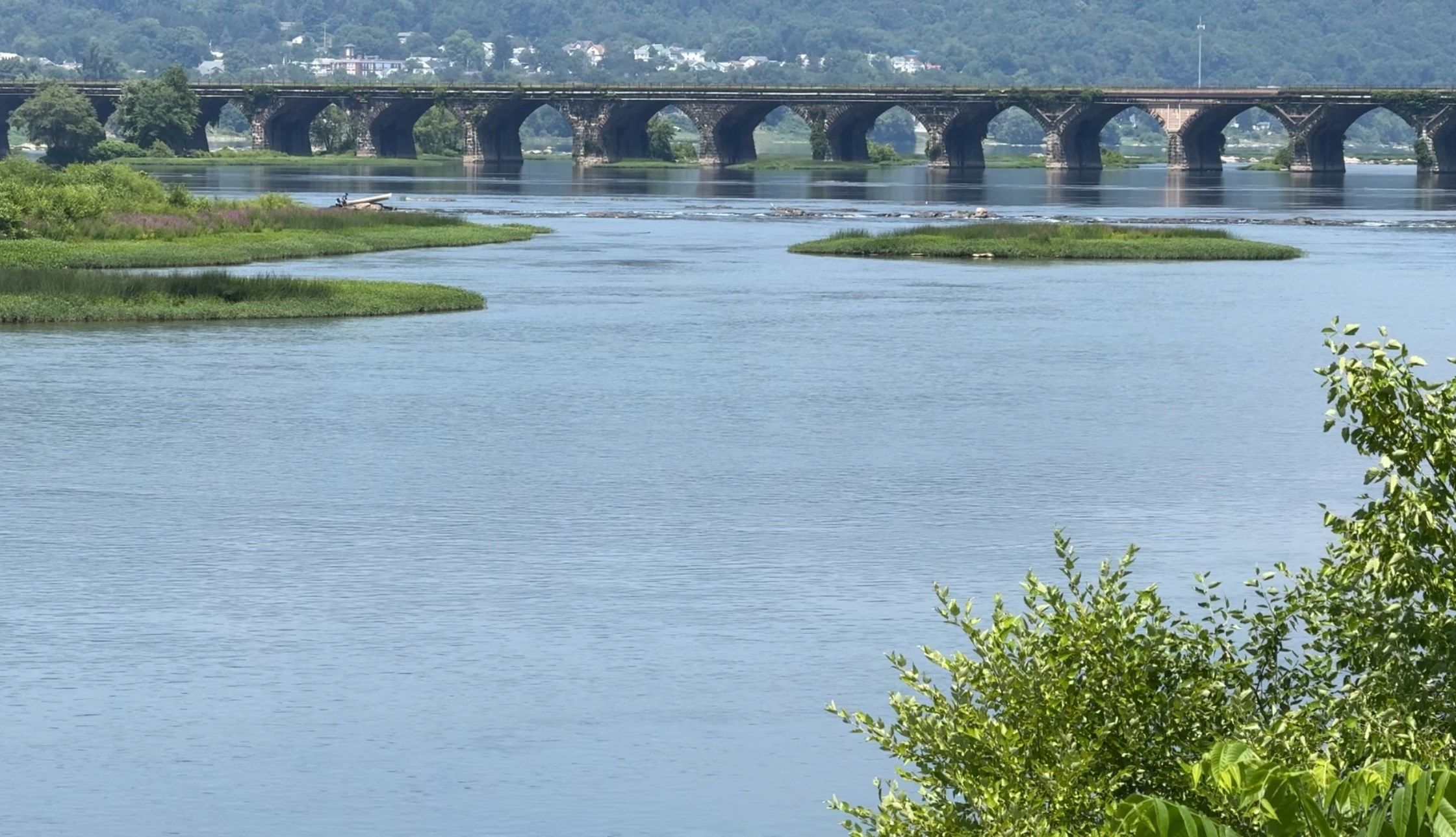 Chesapeake Bay Report Card: C+ Grade Highest Since 2002 - Erie News Now ...