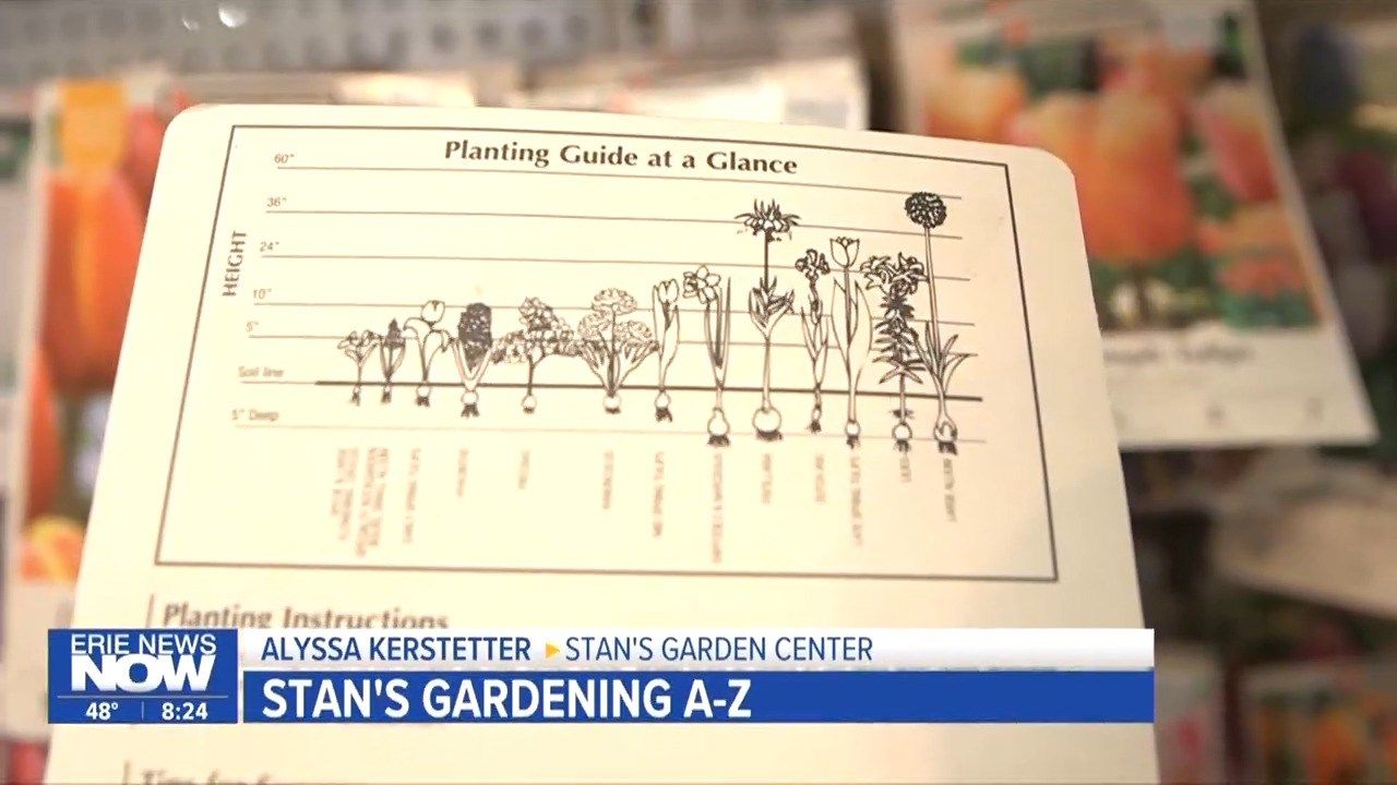 Stan's Gardening A-Z: Planting Bulbs - Erie News Now | WICU and WSEE in ...