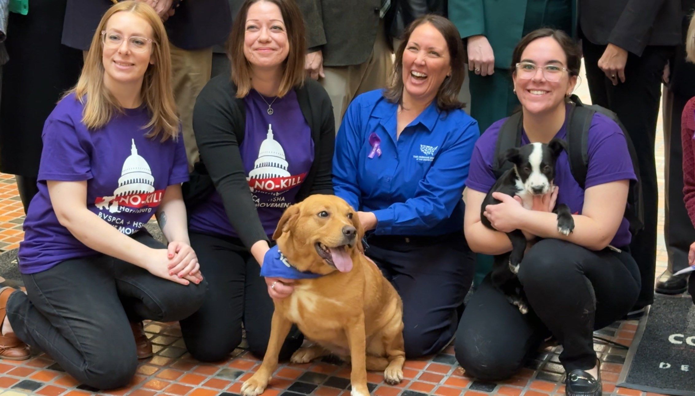 Furry Friends at the Animal Protection Caucus’s First Meeting of the ...