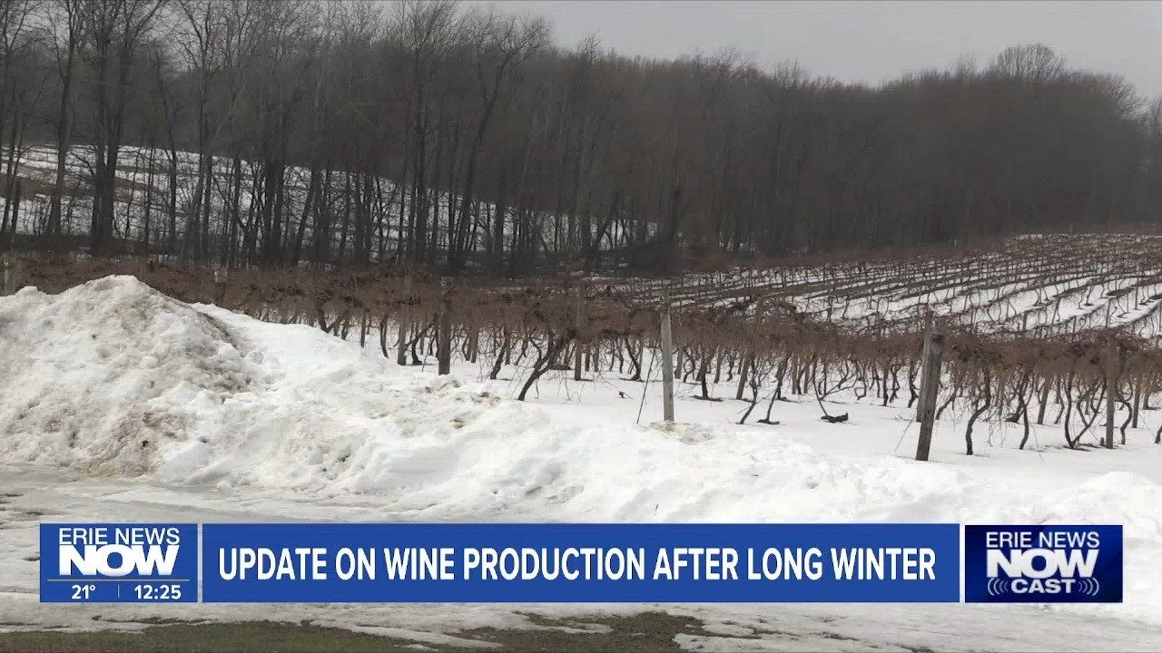 Erie News Now | WICU and WSEE in Erie, PA