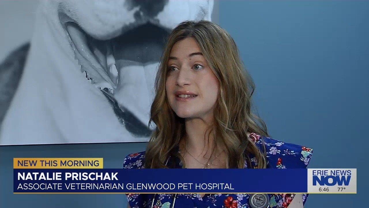 The signs of a heat stroke in dogs - WENY News